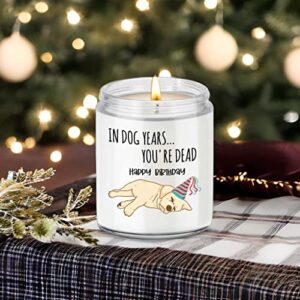 GSPY Dog Years Birthday Candle - Funny Birthday Gifts for Him, Her, Mom, Dad, Husband, Best Friend, Sister - Fun Birthday Gifts, 30th, 40th, 50th, 60th Birthday Gifts for Men, Women - Dog Lover Gifts