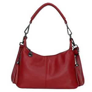 smith sursee genuine leather crossbody bags for women, hobo purses and handbags for women ladies shoulder crossbody purse