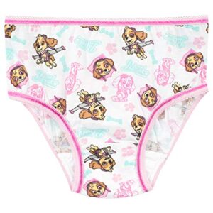 Paw Patrol Girls' Skye and Everest Underwear Size 5 Multicolored