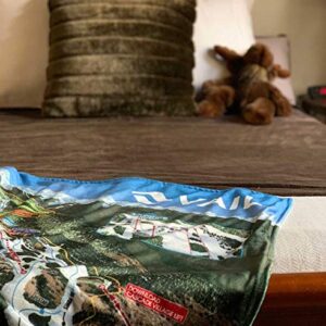 Vail Blanket – Vail Ski Resort Trail Map Soft Minky Throw Blanket | 70 x 50 inches