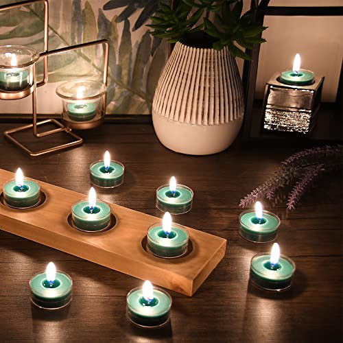 Zest Candle 50-Piece Tealight Candles, Hunter Green