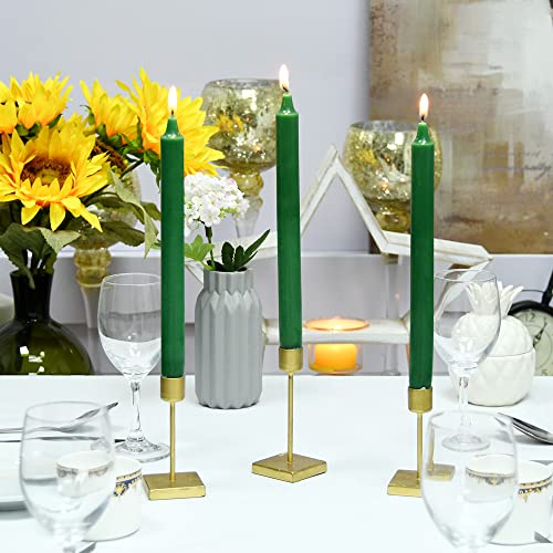 Zest Candle 12-Piece Taper Candles, 10-Inch, Hunter Green Straight