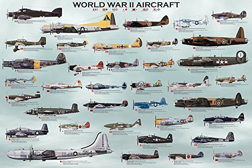 Laminated World War II Military Aircraft Educational Chart Poster Print 24x36