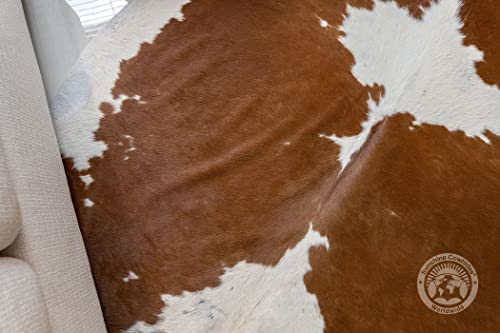 Genuine Brown and White Cowhide Rug XL 6 x 7-8 ft. 180 x 240 cm