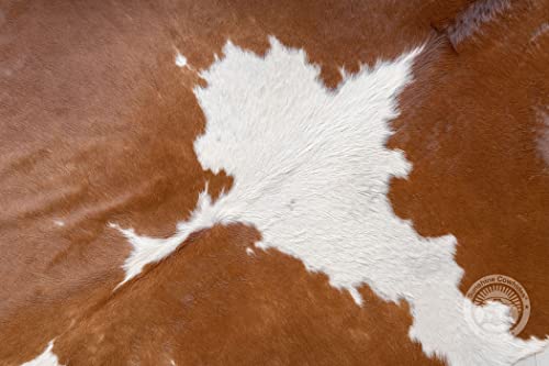 Genuine Brown and White Cowhide Rug XL 6 x 7-8 ft. 180 x 240 cm