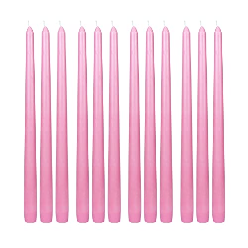 Zest Candle 12-Piece Taper Candles, 12-Inch, Pink