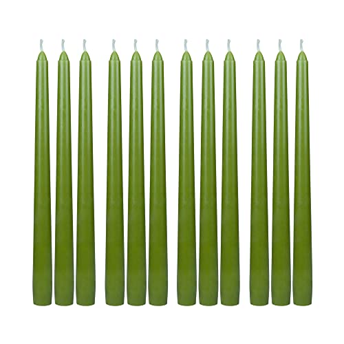 Zest Candle 12-Piece Taper Candles, 10-Inch, Sage Green