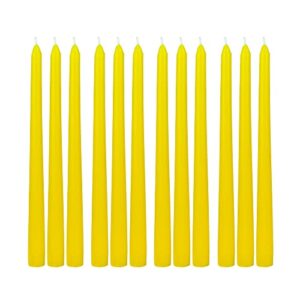 zest candle 12-piece taper candles, 10-inch, yellow