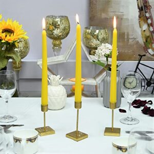 Zest Candle 12-Piece Taper Candles, 10-Inch, Yellow