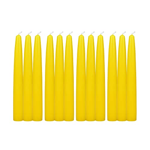 Zest Candle 12-Piece Taper Candles, 6-Inch, Yellow