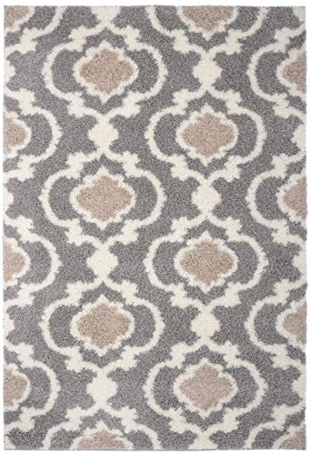 Cozy Moroccan Trellis Gray/Cream 3'3" X 5' Indoor Shag Area Rug