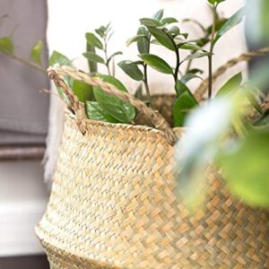 Seagrass Belly Basket with Handles – 12.6"x11" - 100% Hand Woven from Sustainably Grown Seaweed – Decorative Basket for Living Room and Bedroom and for Storage of Blankets, Laundry and Toys