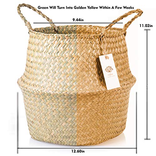 Seagrass Belly Basket with Handles – 12.6"x11" - 100% Hand Woven from Sustainably Grown Seaweed – Decorative Basket for Living Room and Bedroom and for Storage of Blankets, Laundry and Toys