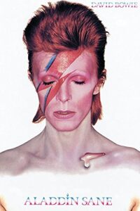 david bowie – aladdin sane poster 24 x 36in