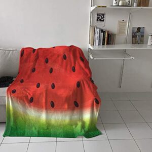 Fleece Blankets Throw Couch Bed Sofa Warm,Soft Microfiber Plush Reversible All Season Blanket for Adults/Kids - Watermelon in Watercolor Style 40" x 50"