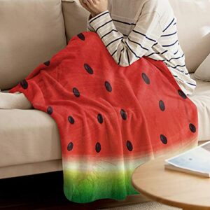 Fleece Blankets Throw Couch Bed Sofa Warm,Soft Microfiber Plush Reversible All Season Blanket for Adults/Kids - Watermelon in Watercolor Style 40" x 50"