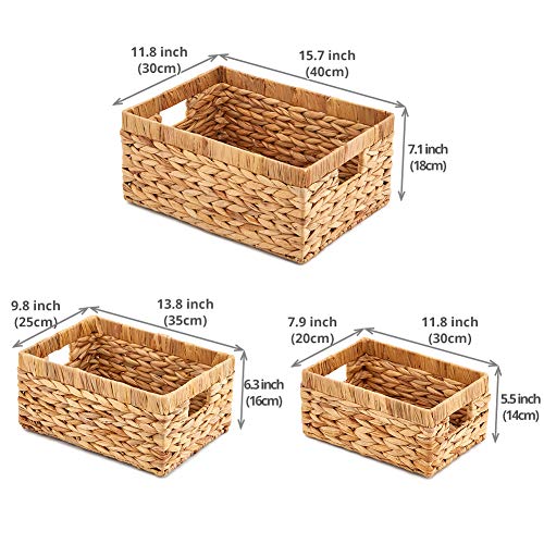 EZOWare Set of 3 Natural Water Hyacinth Wicker Baskets, Environmental Friendly Natural Storage Organizer Nesting Boxes with Handle - Mixed Size (1 Large, 1 Medium, 1 Small)