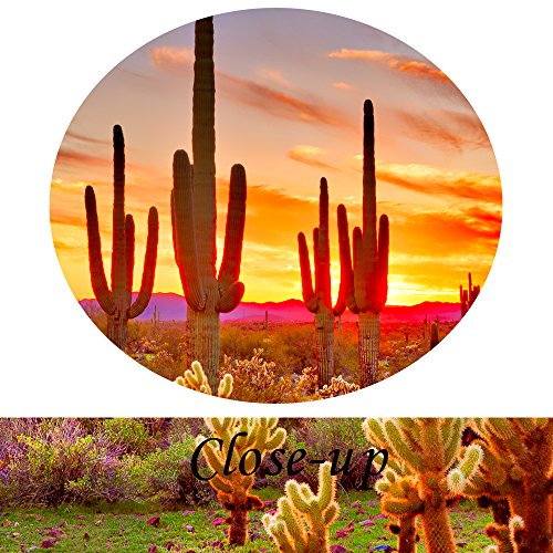 Kreative Arts - Colorfull Sunset with Saguaros Landscape Canvas Wall Art Sonoran Desert Picture Gallery Wrapped Botanical Cactus in Arizona Picture Print on Canvas for Living Room