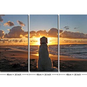 3 Piece Wall Art Painting Dog and Sunset Pictures Prints On Canvas Painting for Modern Home Decoration