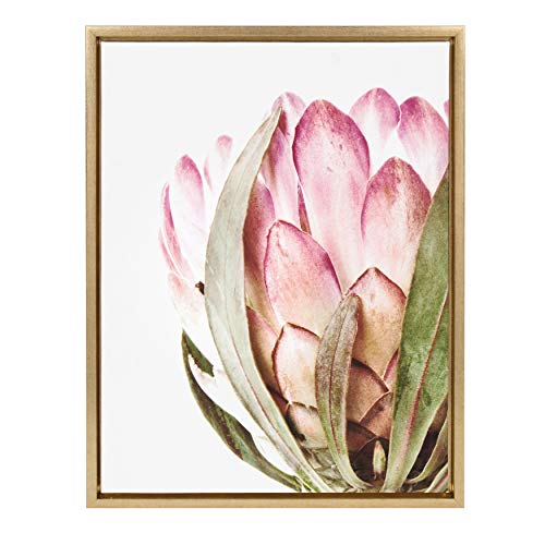 Kate and Laurel Sylvie Pink Protea Flower Framed Canvas Wall Art by Amy Peterson, 18x24 Gold