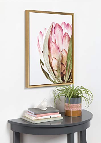 Kate and Laurel Sylvie Pink Protea Flower Framed Canvas Wall Art by Amy Peterson, 18x24 Gold