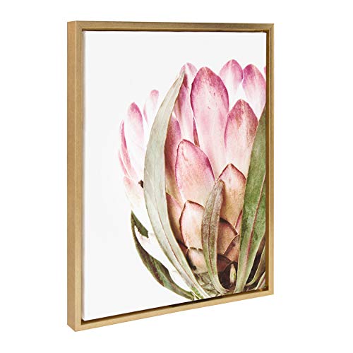 Kate and Laurel Sylvie Pink Protea Flower Framed Canvas Wall Art by Amy Peterson, 18x24 Gold