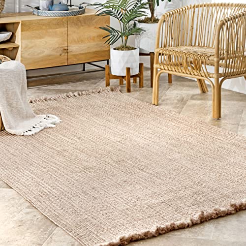 nuLOOM Courtney Braided Indoor/Outdoor Area Rug, 4' x 6', Tan