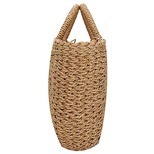 Hand-woven Straw Large Hobo Bag for Women Round Handle Ring Toto Retro Summer Beach Straw Bag (Brown)