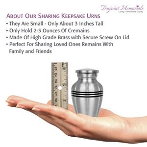 Trupoint Memorials Small Keepsake Urn for Human Ashes - Set of 1 - Beautiful and Timeless Token to Remember Your Loved One Lost - with Box and Velvet Bag -Find Comfort (Pewter Classic)