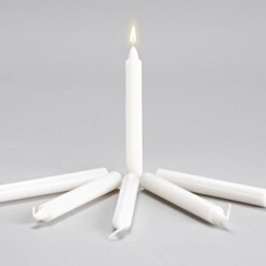 Candlelight Service Vigil Candles - Convenient for Memorial Candles, Congregational Candles, Christmas Eve Candles, Shabbat Candles (4.25" Candle, 250 Count (Pack of 1))