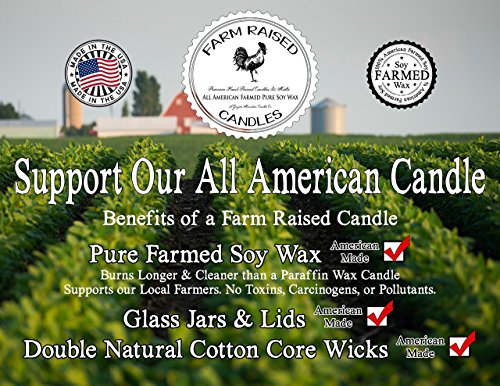 Fresh Spring Scented Wax Melts - 30 Cubes Variety - 100% USA Made - All Natural Plant Wax - Warmer Cubes Lavender, Lemon, Spring, Raspberry Vanilla, Cucumber Melon