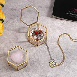 Jovivi Gold Copper Clear Glass Lid Terrarium Box/Bracelet Necklace Earrings Ring Jewelry Display Organizer Decorative Box Case Home Office Decor