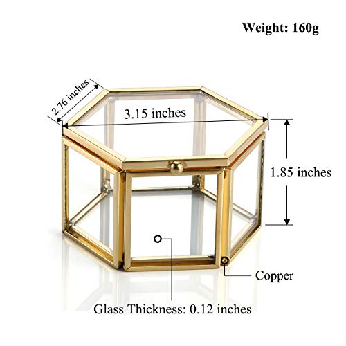 Jovivi Gold Copper Clear Glass Lid Terrarium Box/Bracelet Necklace Earrings Ring Jewelry Display Organizer Decorative Box Case Home Office Decor