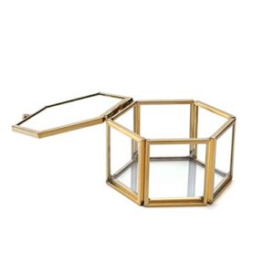 Jovivi Gold Copper Clear Glass Lid Terrarium Box/Bracelet Necklace Earrings Ring Jewelry Display Organizer Decorative Box Case Home Office Decor