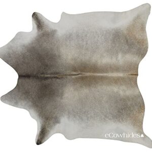 ecowhides Grey Palomino Brazilian Cowhide Area Rug, Cowskin Leather Hide for Home Living Room (XXL) 8 x 7 ft