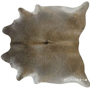 ecowhides Grey Palomino Brazilian Cowhide Area Rug, Cowskin Leather Hide for Home Living Room (XXL) 8 x 7 ft