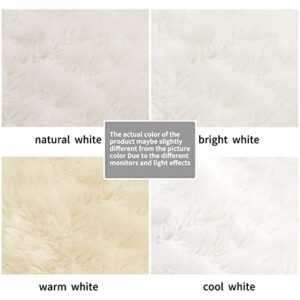 White Fur Rug Fluffy Rug, Small Rugs for Bedroom, Washable Faux Sheepskin Rug for Sofa Couch Seat Cushion, Thick Shaggy Furry Rugs Floor Carpets for Bedside Living Room, 2x4 ft, CIICOOL