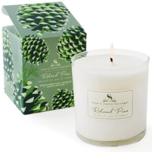 soap & paper factory roland pine 9.5 oz large soy candle