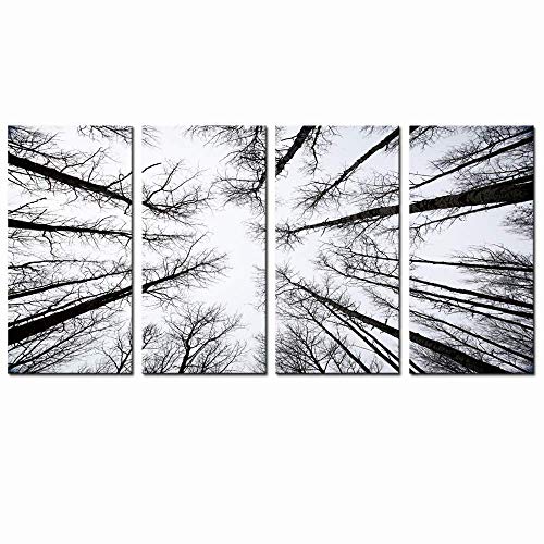 LevvArts - Black and White Forest Canvas Wall Art Low Angle View Aspen Trees Picture Print on Canvas,San Juan National Forest,4 Panels Framed Artwork for Modern Home Wall Decoration