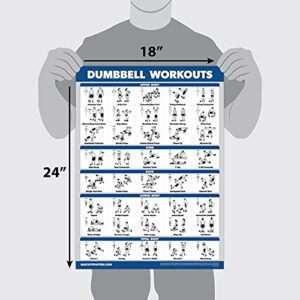 Palace Learning Dumbbell Workout Exercise Poster - Free Weight Body Building Guide | Home Gym Chart - LAMINATED, 18" x 24"