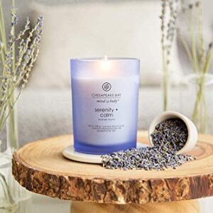 Chesapeake Bay Candle Scented Candle, Serenity + Calm (Lavender Thyme), Medium Jar