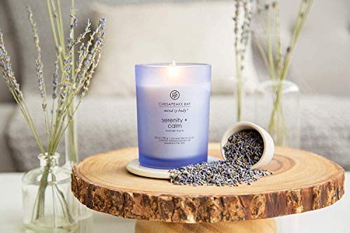 Chesapeake Bay Candle Scented Candle, Serenity + Calm (Lavender Thyme), Medium Jar