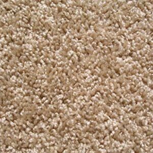 8’x10’ Taffy Apple Area Rug Carpet. 25 oz FHA Certified. Multiple Sizes and Shapes to Choose from