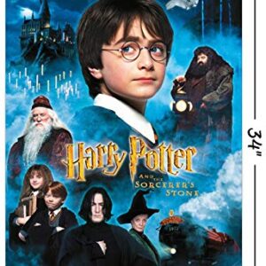 Trends International Harry Potter and the Sorcerer's Stone - Candles One Sheet Wall Poster, 22.375" x 34", Unframed Version