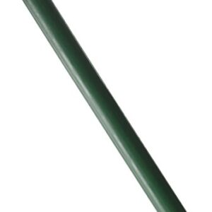 Northern Lights Candles Nlc Premium Tapers 12Pc Hunter Green 12 Inch