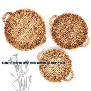 Trademark Innovations Set of 3 Round Hyacinth Baskets with Handles