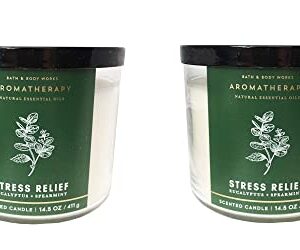 Bath and Body Works Aromatherapy 3 Wick Candle, 14.5 Oz, Eucalyptus Spearmint (2 Pack)