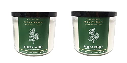 Bath and Body Works Aromatherapy 3 Wick Candle, 14.5 Oz, Eucalyptus Spearmint (2 Pack)