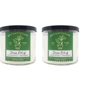 Bath and Body Works Aromatherapy 3 Wick Candle, 14.5 Oz, Eucalyptus Spearmint (2 Pack)