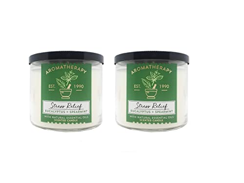 Bath and Body Works Aromatherapy 3 Wick Candle, 14.5 Oz, Eucalyptus Spearmint (2 Pack)